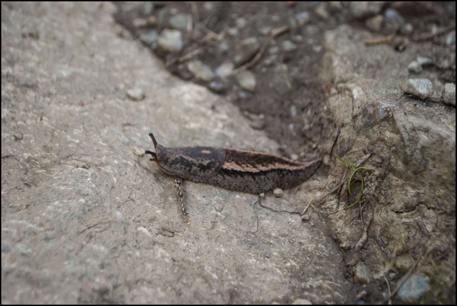 on long walks in mountains… - travel travails and heck