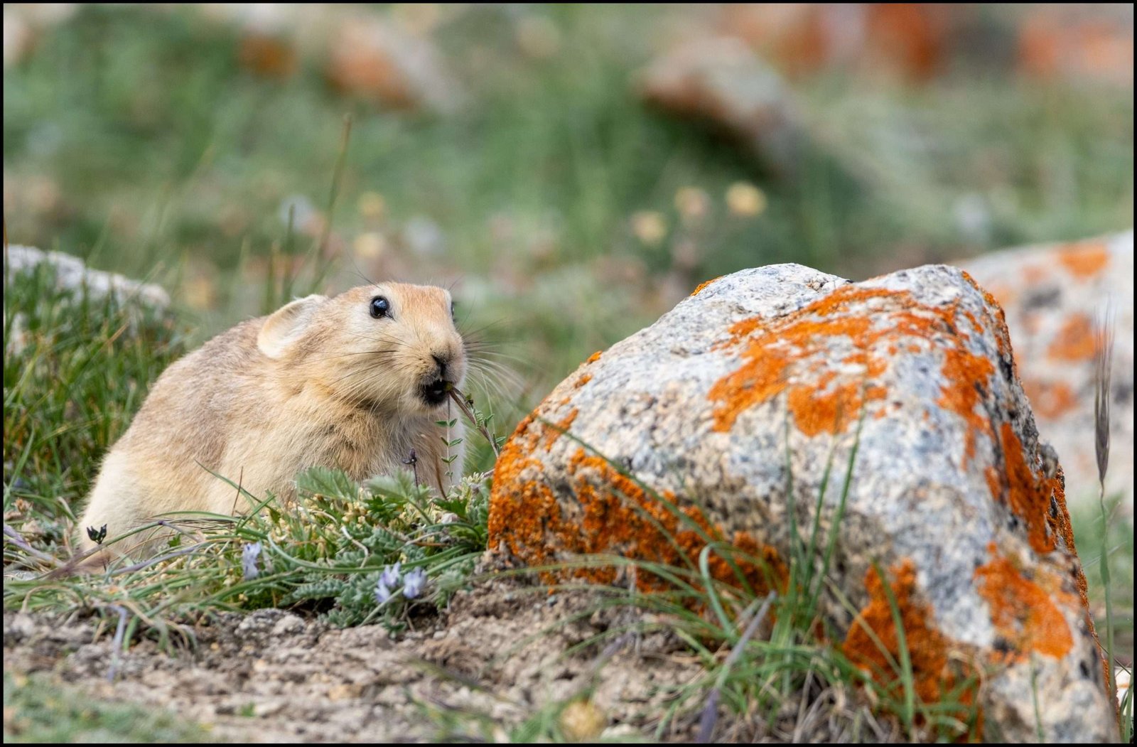 travel, travails and heck... - soliloquies in the outdoors